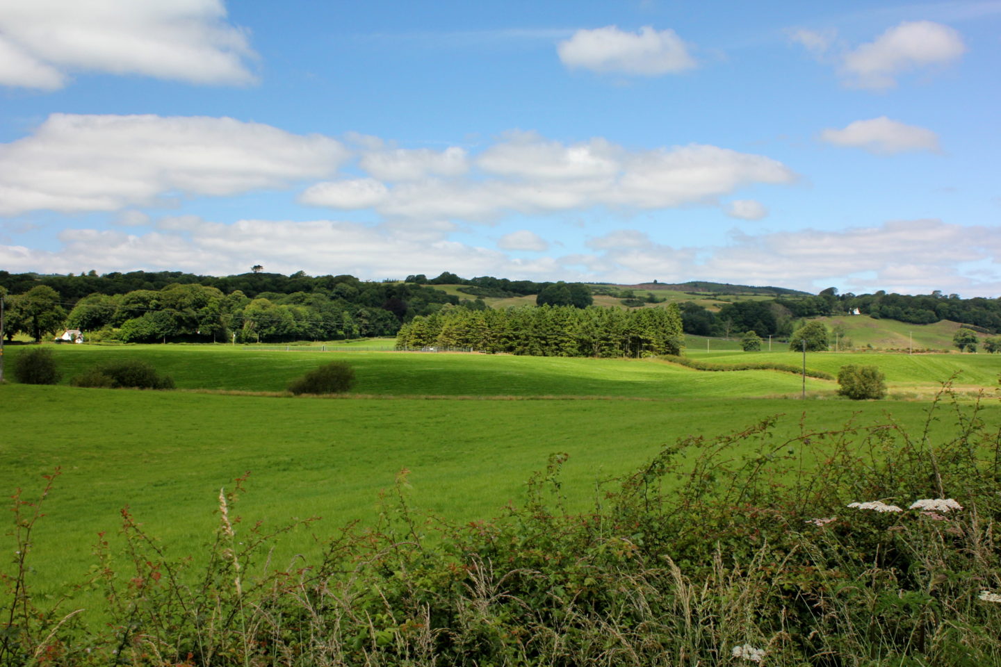 Tarff Valley near Ringford ©Christine Dudgeon_cropped - South West ...