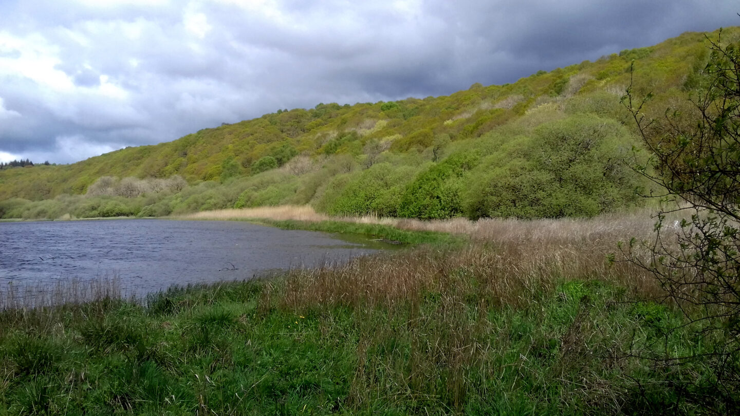 RSPB Wood of Cree Fen Carr © Christine Dudgeon - South West Scotland ...