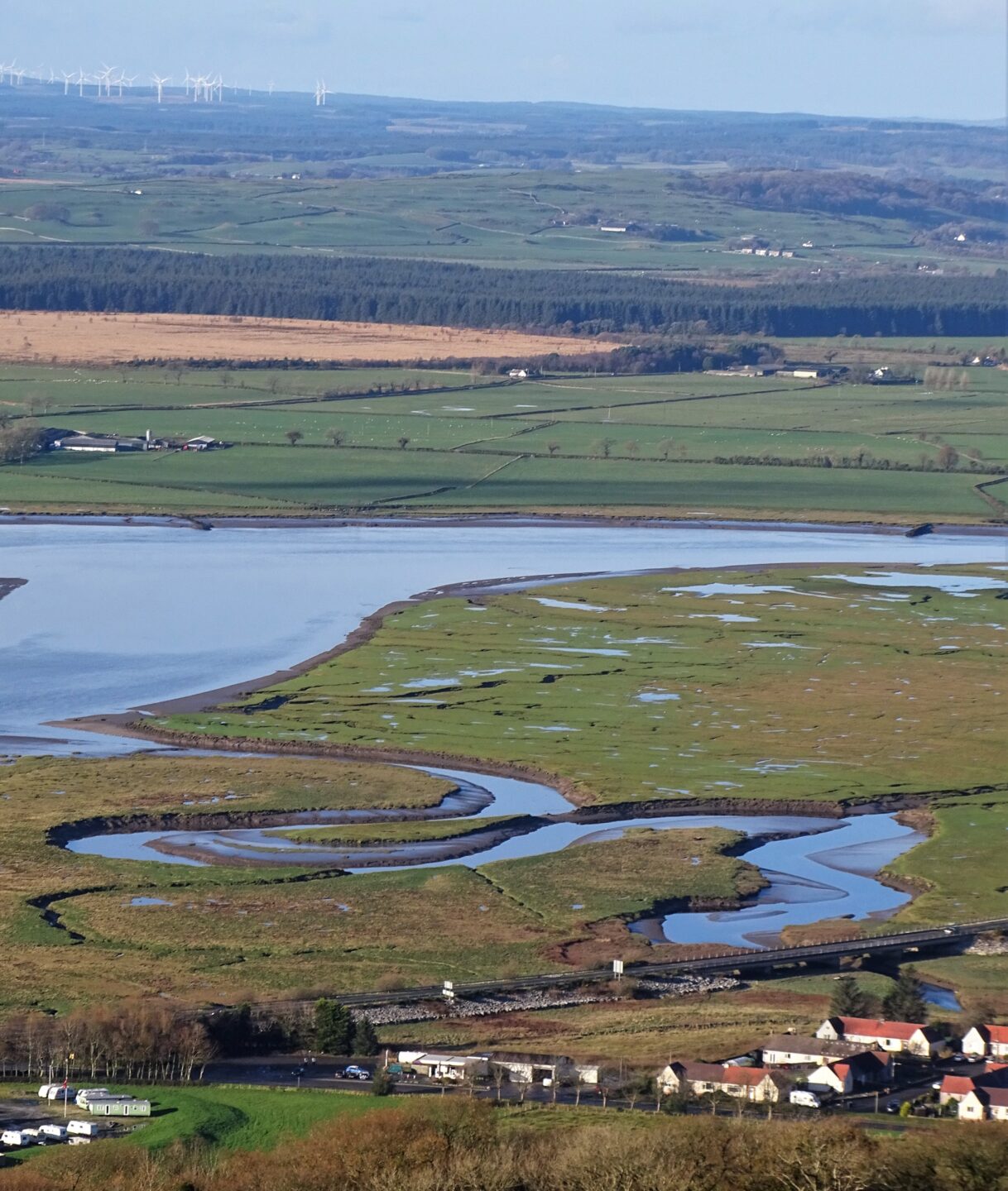 Site of the Month: Wigtown Bay (February 2023) - SWSEIC