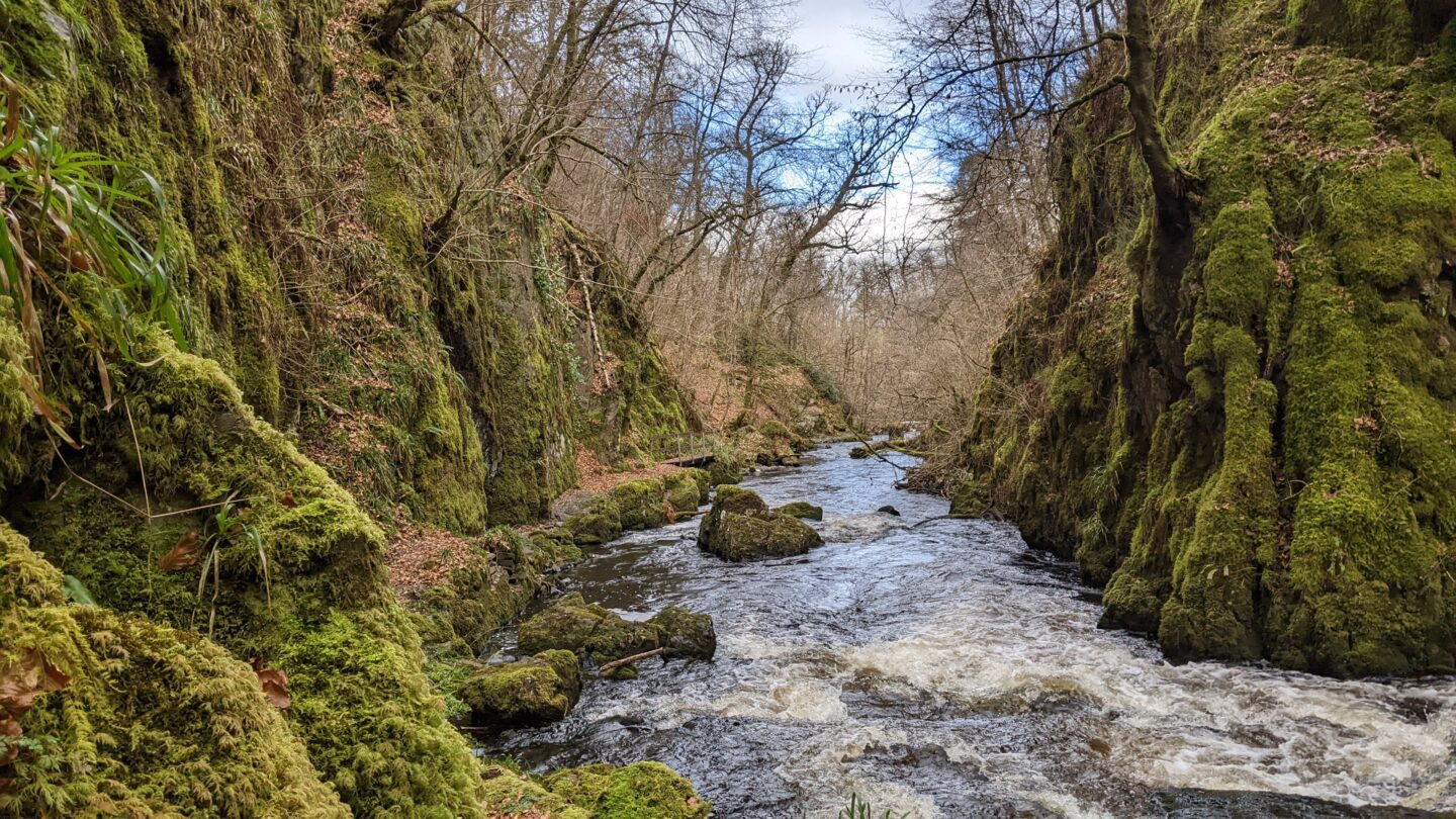 Site of the Month: Ness Glen (March 2023) - SWSEIC