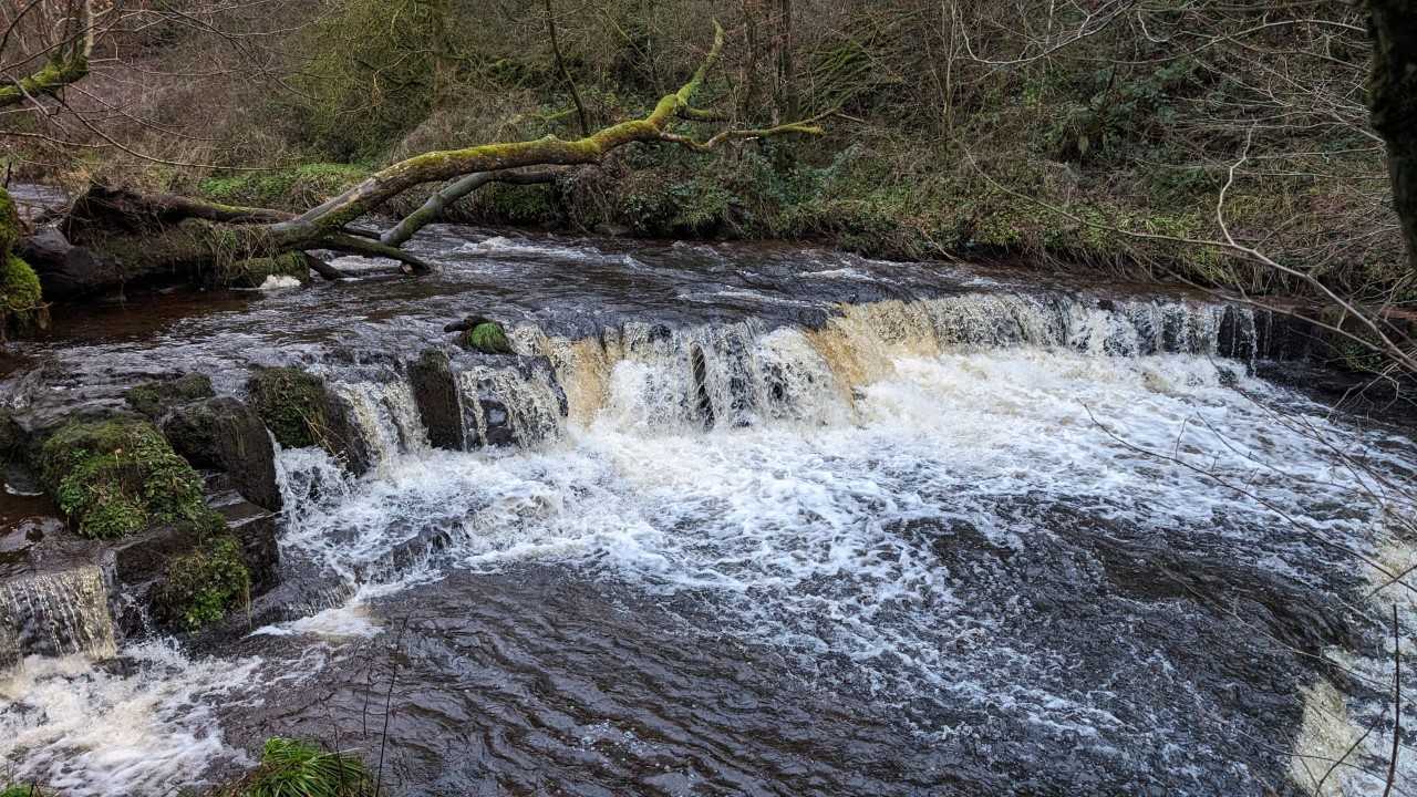 Site of the Month: Lynn Glen (January 2024) - SWSEIC